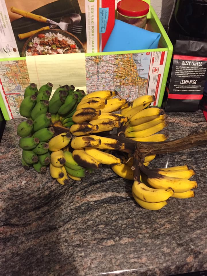When Life Gives You Lemons, Eat Bananas – Hope for the Heavy